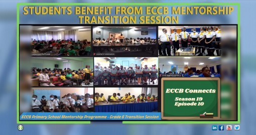 Students Benefit from ECCB Mentorship Transition Session
